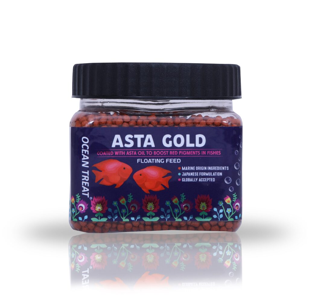 Asta Gold - OT FeedsOT Feeds
